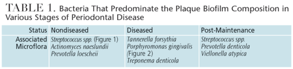 Oral Biofilm Role in Disease Pathogenesis