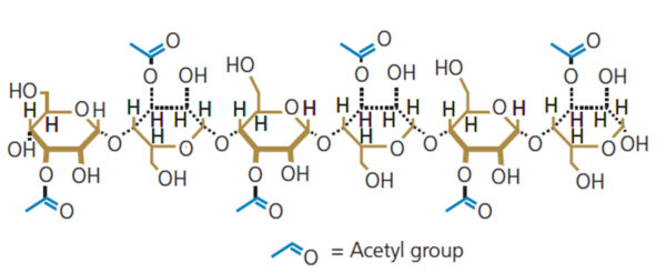 Role of Aloe Vera in Oral Health Management - Decisions in Dentistry
