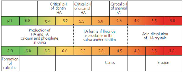 The Delicate Balance of Remineralization and Demineralization ...