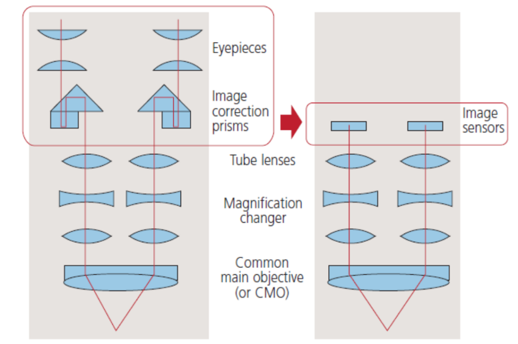 Advantages of Advanced Magnification - Decisions in Dentistry