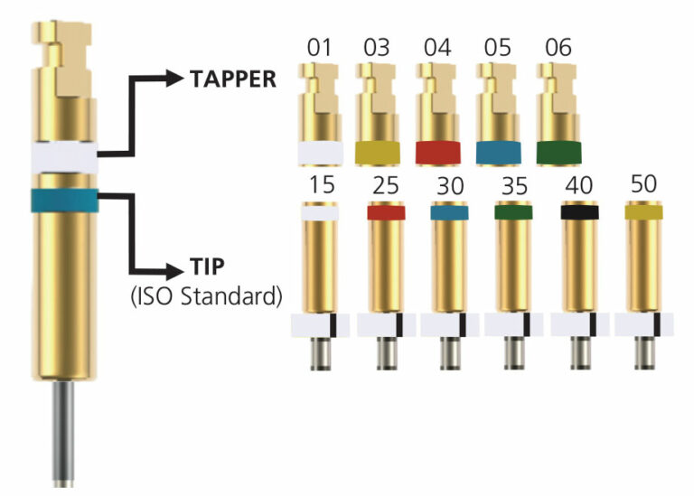 Enhancing Endodontic Success - Decisions in Dentistry