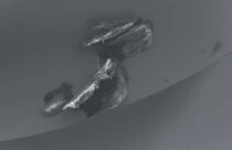 Making the Most of the New Periodontal Classification System ...