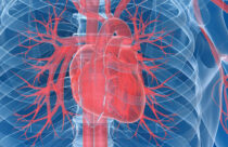 Treatment Approaches to Periodontally Furcated Mandibular Molars ...
